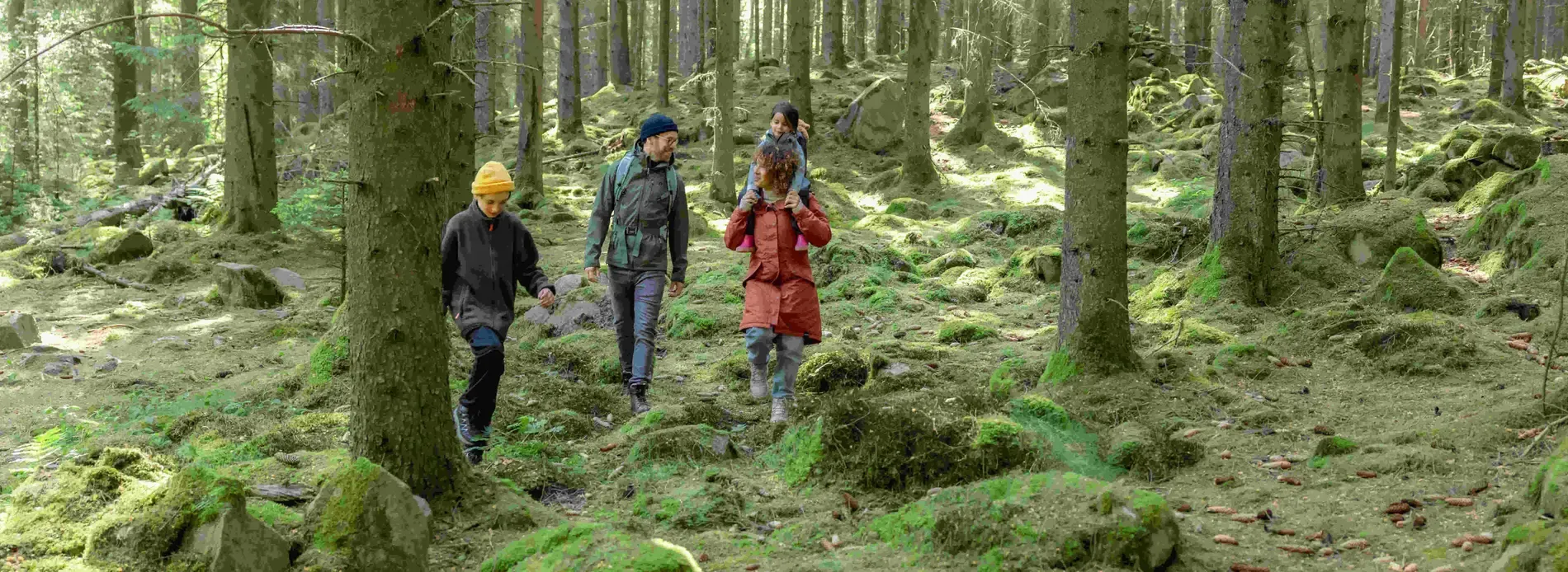 Aplikacja NIBE Uplink do zdalnej obsługi pomp ciepła | NIBE